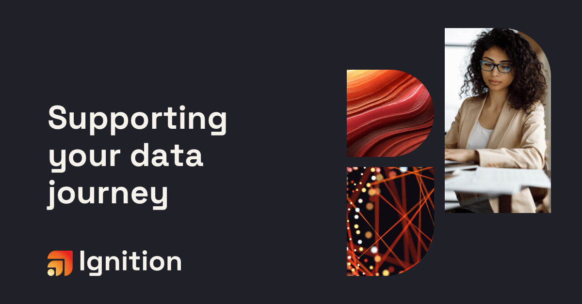 Data Management Consulting / Ignition